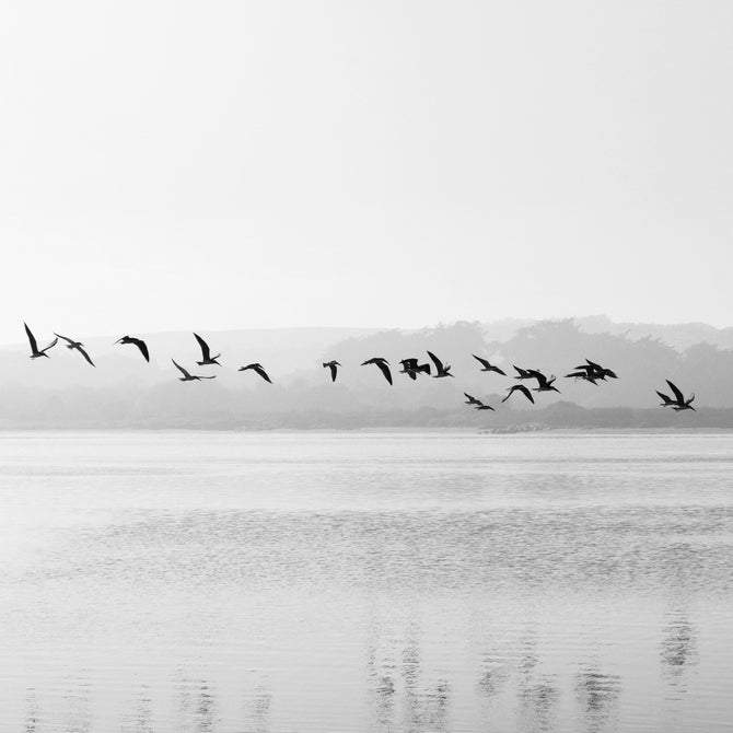 Hat Sizing Guide – Tilley USA